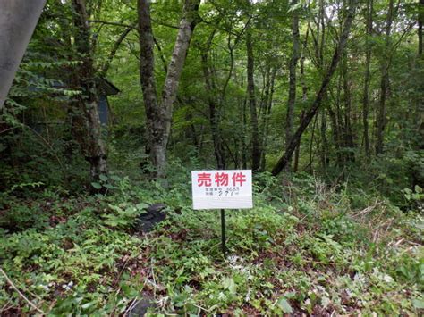 不動産ジャパン物件詳細山梨県南都留郡鳴沢村河口湖駅の物件情報売地
