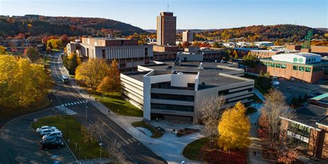 Two Watson College Departments Elevated To Schools Binghamton News