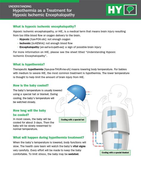Understanding Hypothermia As A Treatment For Hypoxic Ischemic