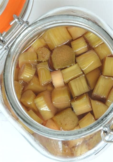The Crazy Kitchen Homemade Rhubarb Gin