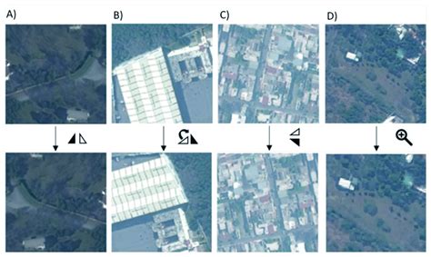 example of images produced by data augmentation a horizontal flip