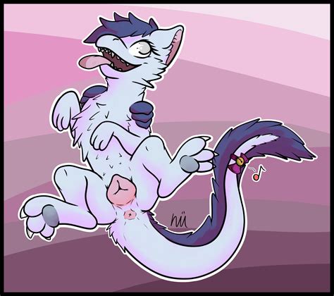 Rule 34 Andromorph Animal Genitalia Animal Pussy Canine Pussy Dragon