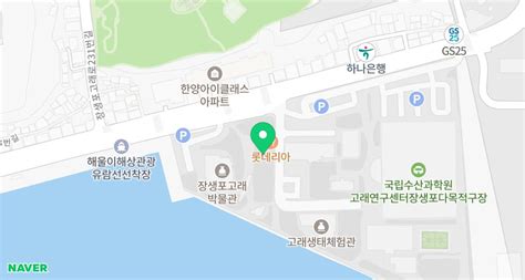 울산 여행 장생포 고래마을 모노레일 모노레일 탑승 후기 운행시간 울산 아이랑 가볼만한곳 울산 여행코스