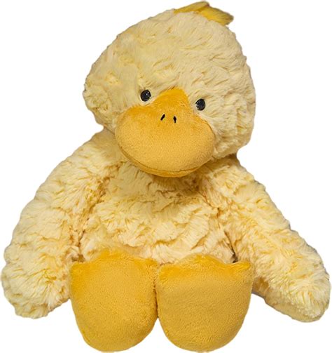 Duck Color Toy