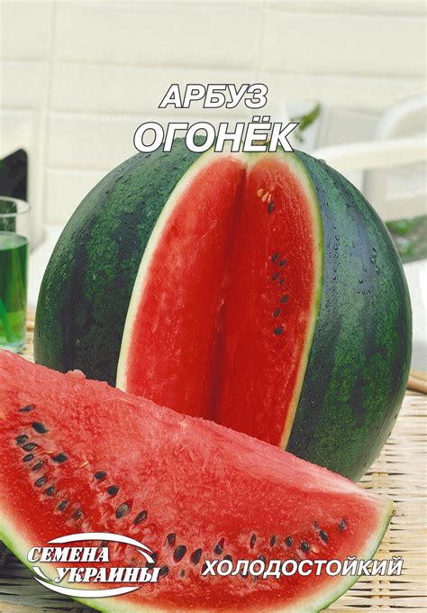 Кавун Огоньок [20г] ОВОЧЕВІ Насіння України