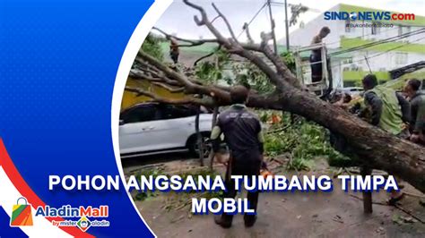 VIDEO Akibat Hujan Disertai Angin Kencang Pohon Tumbang Dan Timpa Mobil Di Sunter Agung