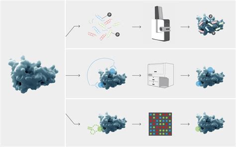 5 Reasons Why Dia Can Elevate Your Proteomics Research