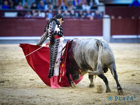 Lo cuenta Pla Ventura Tres toros auténticos Toros de Lidia