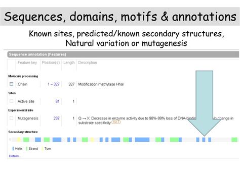 Ppt Bioinformatics Of Proteins Sequence Structure And The ‘symbiosis Between Them