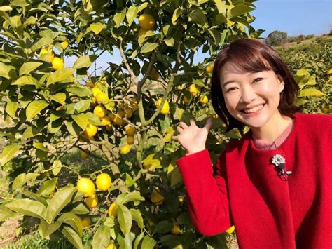 有田優理香さんのインスタグラム写真 有田優理香instagram「番組のお知らせ♪ 10日水放送のヒルナンデスにvtr出演します☀