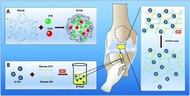 Methotrexate Injection Sites