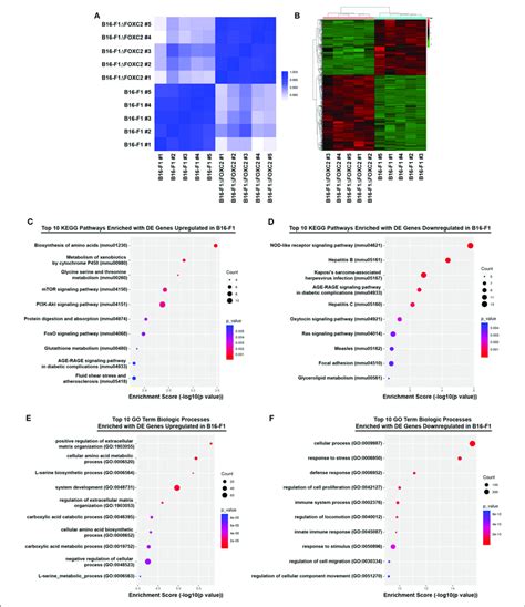 Rna Seq Correlation And Differential Gene Expression Analyses Of Download Scientific Diagram