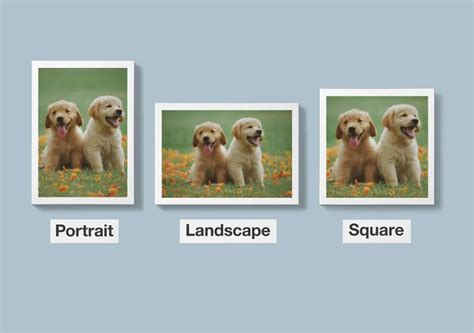Choosing A Book Orientation Portrait Vs Landscape Vs Square Color