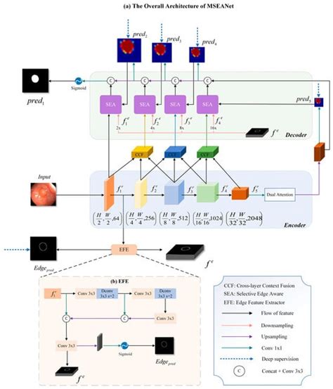 Mseanet Multi Scale Selective Edge Aware Network For Polyp Segmentation