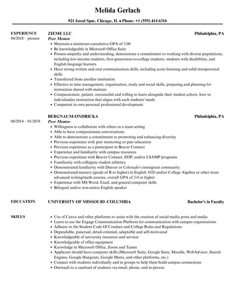 Mentor Job Description Resume