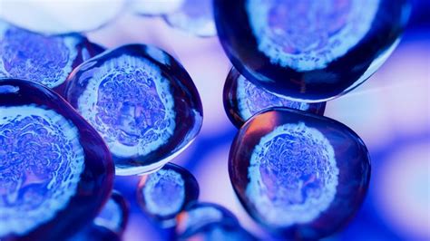 Non Coding Rna Boosts Protein Production In Cells Technology Networks