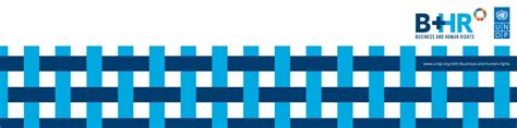 olga nilova undp linkedin