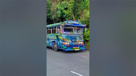 අලුත්ම Vip Update එකෙන් පස්සේ එයා ඇල්ලෙදි 😍🙈 දගකාරි කෙම්ල 💙 New Bus Video Modified Bus