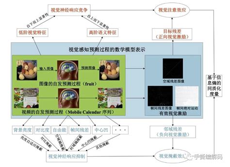 感知编码技术 知乎
