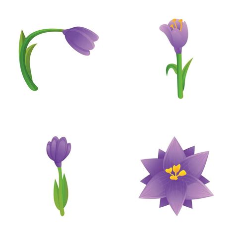Crocus Flower Icons Set Cartoon Vector Bright Spring Flower 36481654