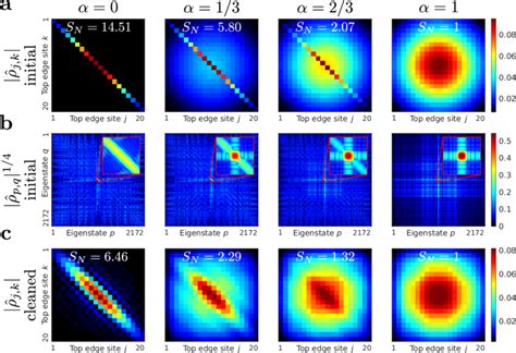 Abbildung a and b show the absolute value of the spatial ˆρ ˆρ Download Scientific