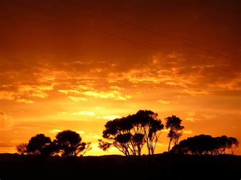 วอลเปเปอร์ แสงแดด ต้นไม้ แนวนอน พระอาทิตย์ตก ธรรมชาติ ฟิลด์ ภาพเงา เมฆ พระอาทิตย์ขึ้น