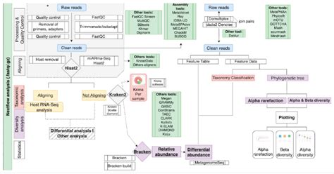 Metagenomics And Metatranscriptomics New Insights And Pipelines To Better Navigate Data