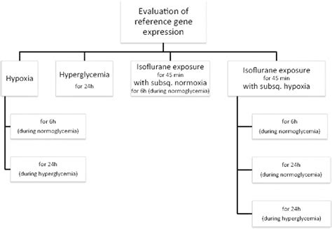 Overview Of The Experimental Paradigms Download Scientific Diagram