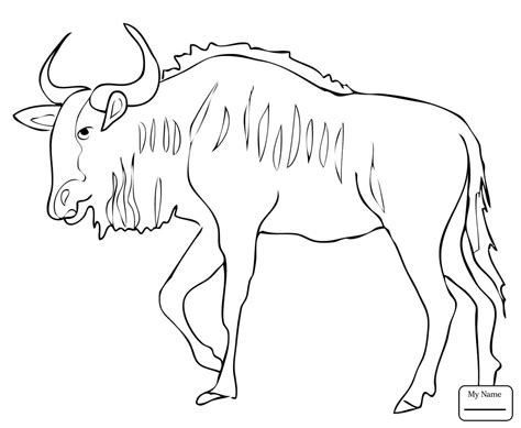Wildebeest Coloring Page Coloring Pages