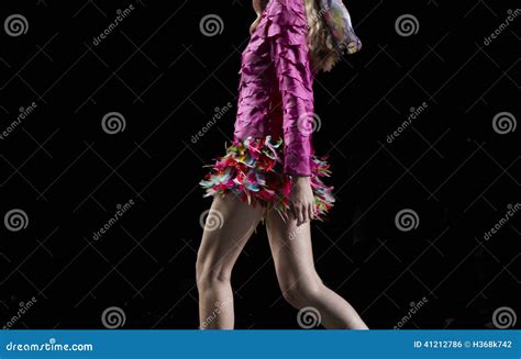 Female Body Dressed With A Skirt Full Of Feathers Stock Photo Image Of Skin Model