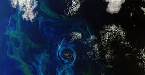 Ministry Of Space Exploration Phytoplankton Blooms East Of The