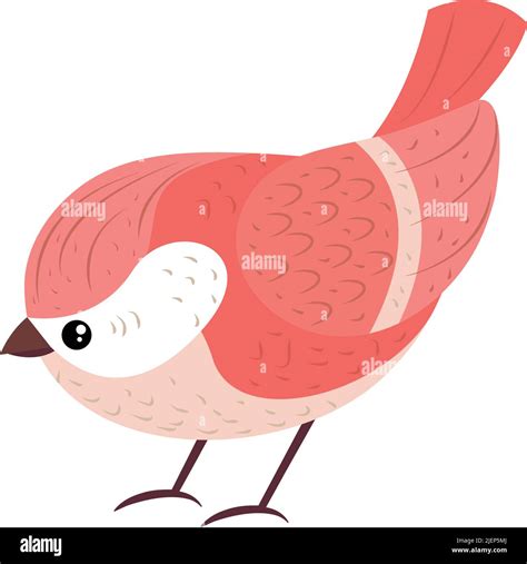 Bird Animal Cartoon Stock Vector Image And Art Alamy
