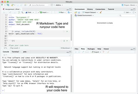 Assignment Guidelines