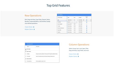 Sencha Ext JS The Most Secure Fastest And Full Featured JavaScript Grid Library StWebDesigner