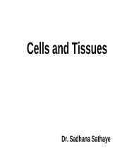 Understanding Cells and Tissues: Structure, Function, and | Course Hero