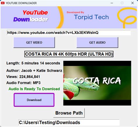 GitHub Deeptangshu29 Youtube Video Downloader This Is A Project For The Subject Software