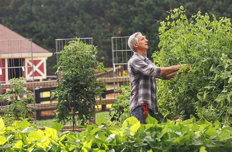Joe Gardener® Organic Gardening Like A Pro