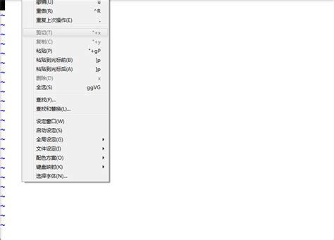 gvim的设置 默认字体、缩进 gvim设置字体 csdn博客
