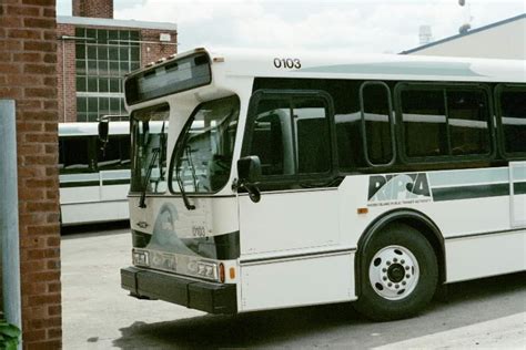 Ripta Buses