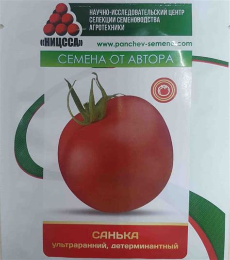 Томат Санька Ницcса купити насіння в Україні відгуки ціна опис ᐉ Agriks