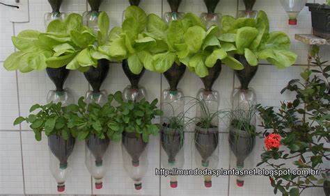 Mundo das Plantas Horta Vertical não faça a sua Horta antes de ver