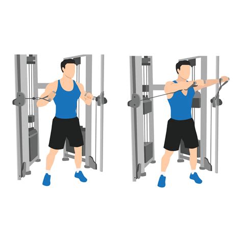Chest Press Cable Machine Exercises Evelina Penn