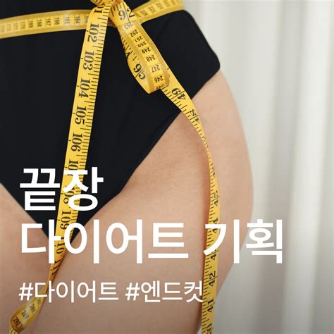 끝장 다이어트 기획 할인 가격 후기 전후 효과 정보 By 엔디어트의원 여신티켓 국내 1등 피부과 성형외과 플랫폼