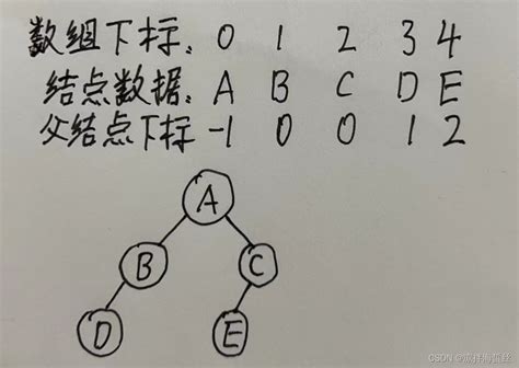 树二叉树森林之间的相互转换 与遍历如何看二叉树森林包括几棵树 Csdn博客