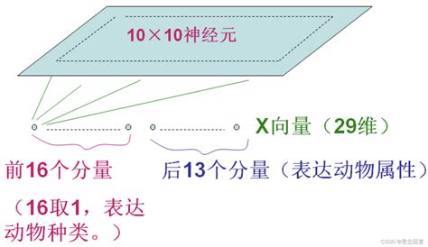 自组织映射神经网络（som） Csdn博客