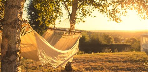 11 Sussex Festivals To Rock Your Summer Title Sussex Magazine