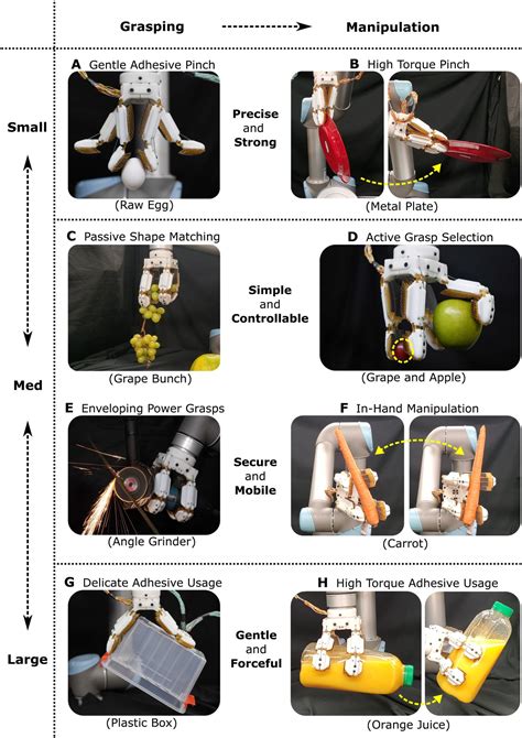 Science Magazine On Twitter A SciRobotics Article From Showed How A Gecko Inspired