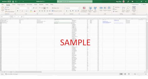 Provide Detailed Data Entry List With Complete Accuracy By Knpopi Fiverr