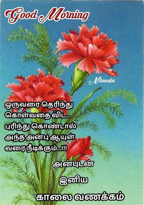 Pin By Santhi On இனிய காலை வணக்கம் Good Morning Beautiful 