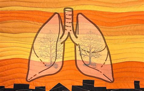 Air Quality Alert The Nation